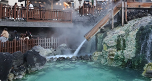 NiterraAQUAの陸上養殖システム